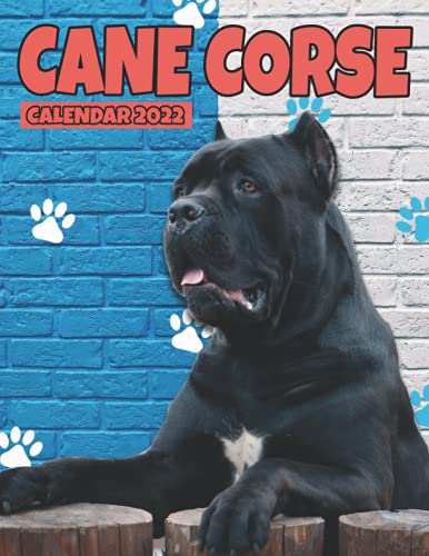 Cane Corso Calendar 2022: 2021-2022 calendar animals- animal wildlife ...