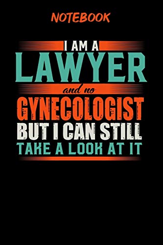 Notebook: Funny Lawyer Notebook, Journal or Planner | Size 6 x 9 | 120 ...
