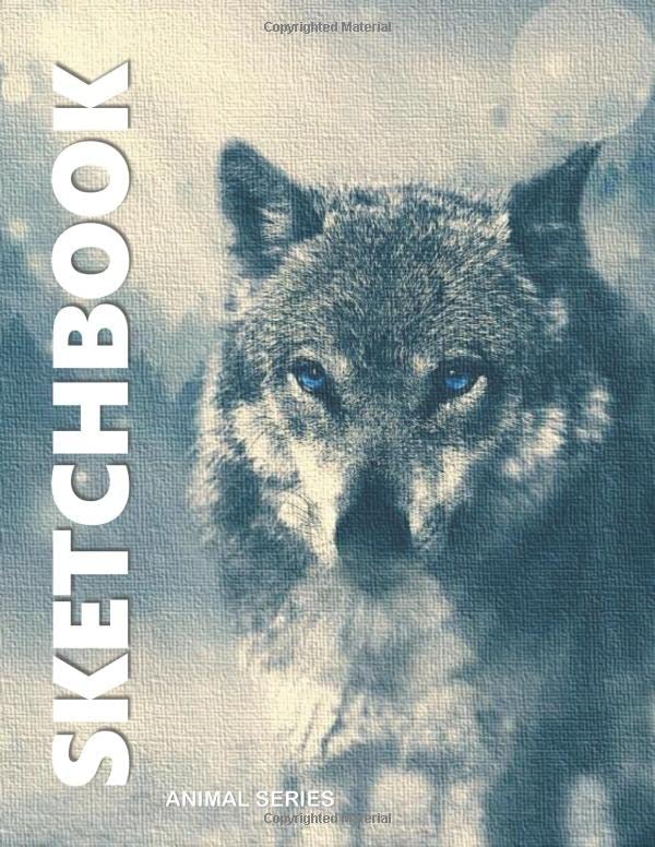 SKETCH BOOK: 8.5 in. x 11 in. 109 pages, Professional,Artist, Student ...