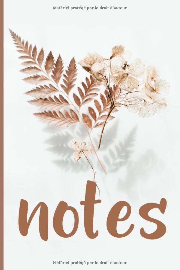 NOTES: Carnet ligné de 120 pages - Prise de notes - Journal - Carnet d ...