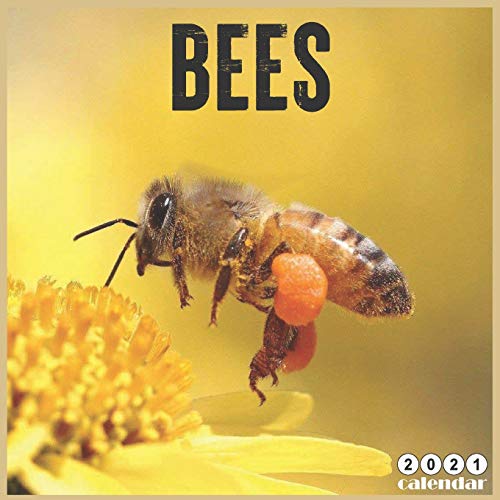 Bees 2021 Calendar: Official Bees 2021 Wall Calendar 18 Months by 365 ...