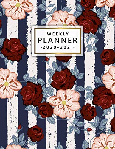 Weekly Planner 2020-2021: 2 Year Weekly & Daily View Organizer with To ...