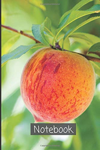 Peaches Notebook: A lined personal writing notebook to write down ...