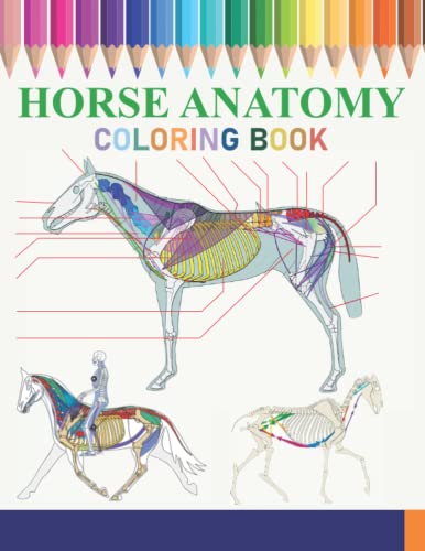 Horse Anatomy Coloring Book: An Anatomy Coloring Book Incredibly ...