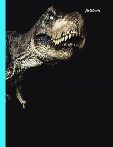 Graph Paper Dinosaur Notebook, Student Math and Science Composition ...