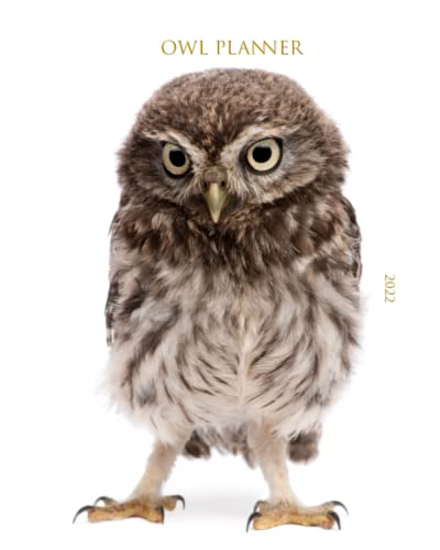 Owl Planner 2022: 2022 Weekly and Monthly Planner | Owl Calendar and ...