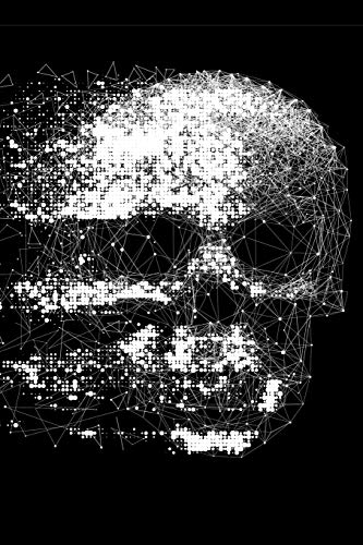 Skull Journal: CUTE GIFT FOR WOMEN, GIRLS, BOYS, MEN RULED PAGES ...