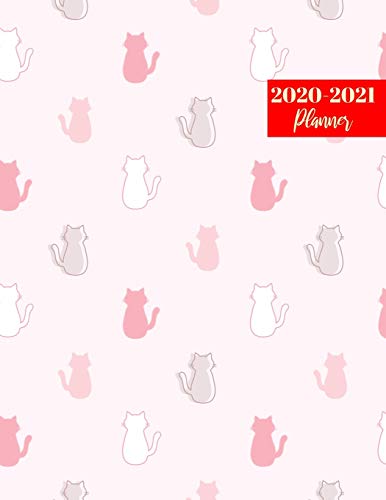 2020-2021 Planner: Nice 24 Months Calendar, 2 Year Appointment Calendar ...