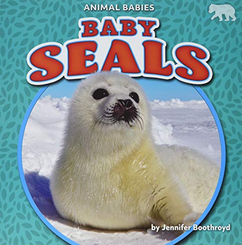 Baby Seals - Nonfiction Reading for Grade 1 with Vibrant Illustrations ...