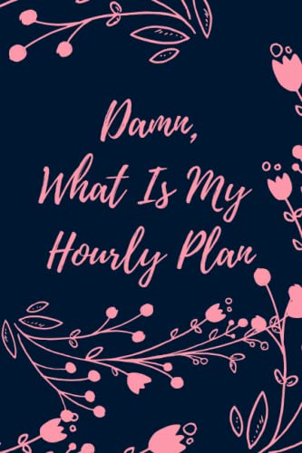 Damn, What Is My Hourly Plan: Action Planner Schedule Book | Daily ...