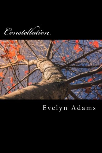 Constellation: Solipsism & Poetic Obsession by Evelyn Adams | Goodreads