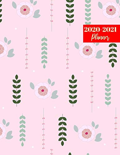 2020-2021 Planner: Nice Weekly & Monthly Planner with Calendar ...
