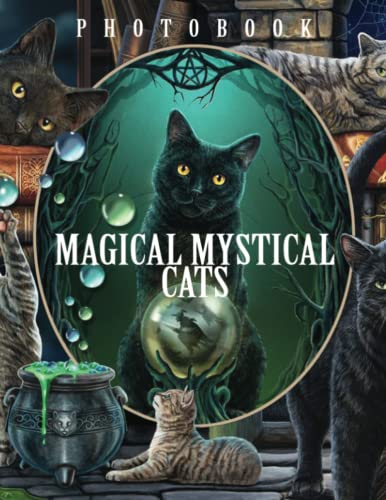 Magical Mystical Cats Photo Book: Compelling Photos Of Magical Mystical ...