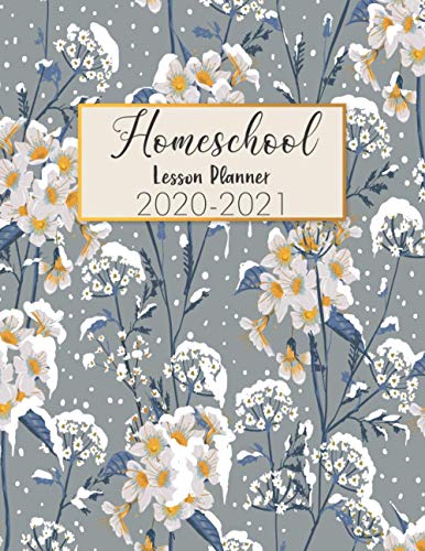 Homeschool Lesson Planner 2020-2021: Teacher Lesson Planner and ...