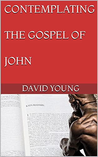 CONTEMPLATING THE GOSPEL OF JOHN by David Young | Goodreads
