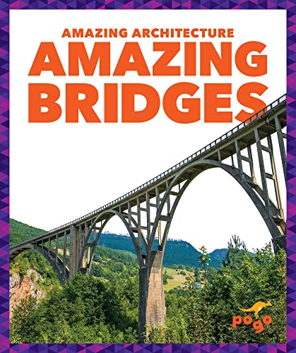 Amazing Bridges (Amazing Architecture) by Anita Nahta Amin | Goodreads