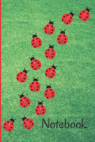 NOTEBOOK: Ladybug notebook with 120 lined pages 6” x 9” perfect for ...
