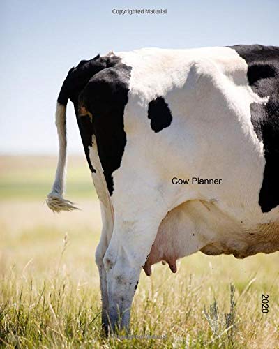 Cow 2020 Planner: 2020 Weekly and Monthly Planner | Cow Calendar and ...