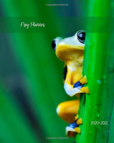 Frog Planner 2020-2021: 2020-2021 Weekly and Monthly Planner | Frog ...