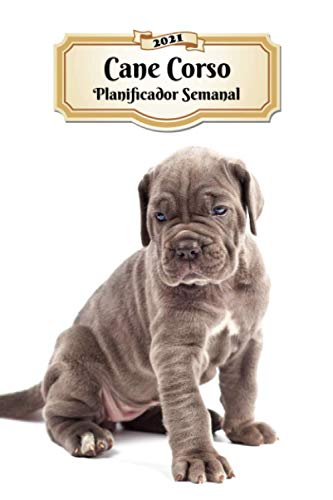 2021 Cane Corso Planificador Semanal: 107 Páginas | Tamaño A5 ...