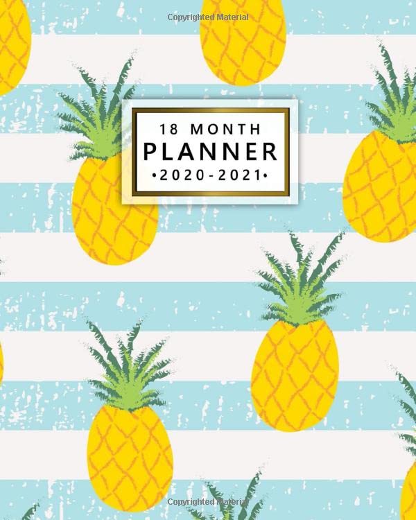 18 Month Planner 2020-2021: Cute Pineapple Striped Daily Organizer ...