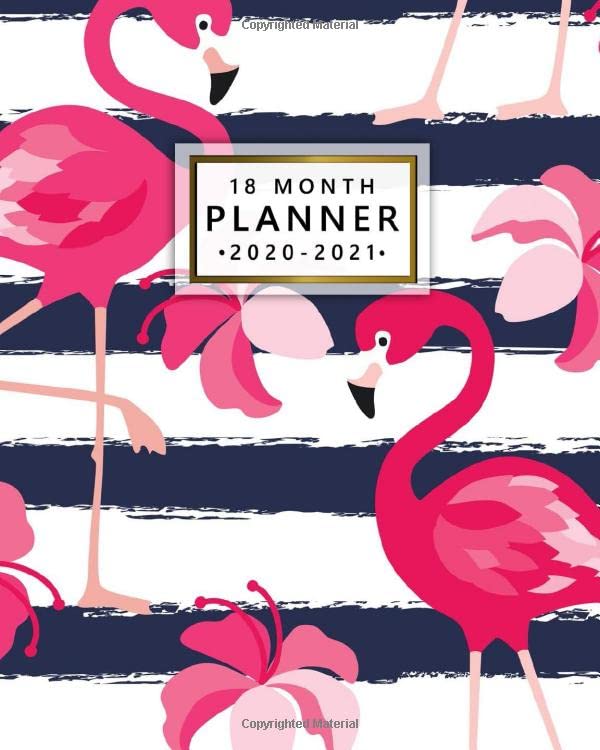 18 Month Planner 2020-2021: Cute Baby Flamingo Organizer & Agenda with ...