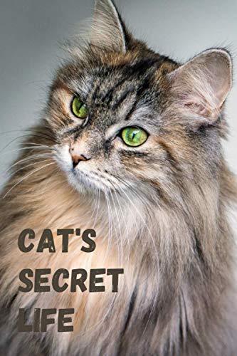 Cat's Secret Life: Disguised Password Book, For cat lovers, discreet ...