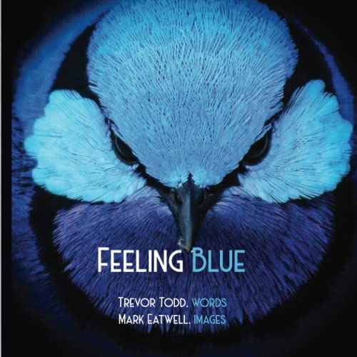 Feeling Blue by Trevor Todd | Goodreads