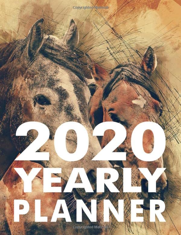 2020 YEARLY PLANNER: YEAR CALENDAR, DIARY, NOTES, MONTHLY CALENDAR WITH ...