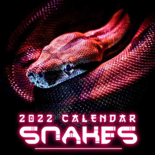 SNAKES CALENDAR 2022: Reptile January 2022 - December 2022 OFFICIAL ...