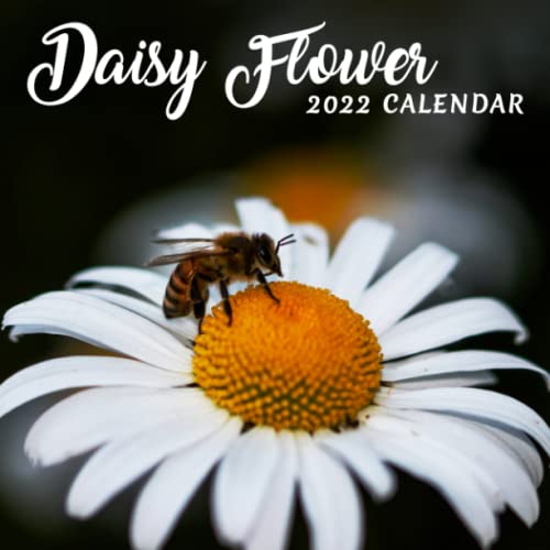Daisy Calendar 2022: Flowers Square Mini Planner From January 2022 to ...