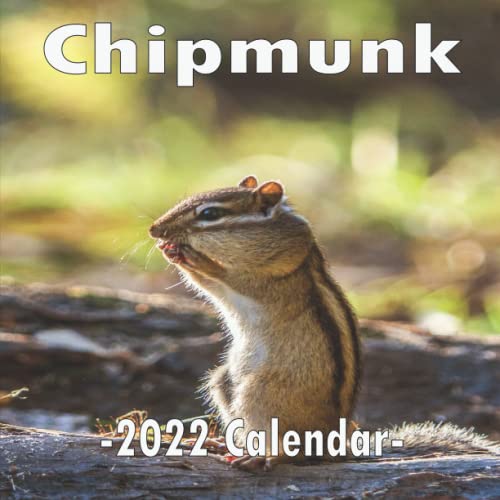 Chipmunks 2022 Calendar: Best Gift Idea with high quality simple images ...