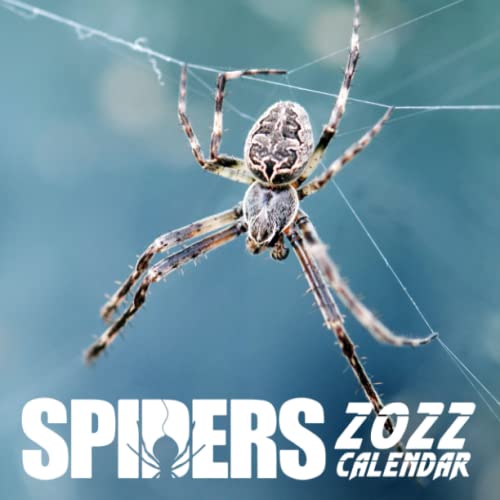 Spiders 2022 Calendar: Arachnids January 2022 - December 2022 OFFICIAL ...
