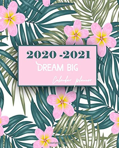 Dream Big 2020-2021 Calendar Planner: Two Year Personal , Monthly Diary ...