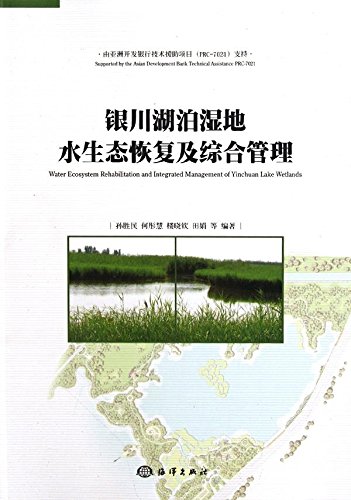 Yinchuan lake wetland ecological restoration and integrated management ...