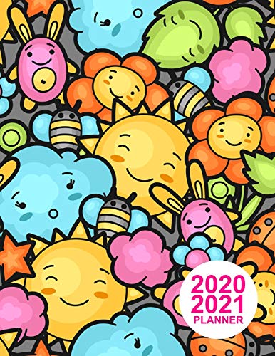 2020 2021 Planner: Simple Two Year Monthly Planner Calendar Schedule ...