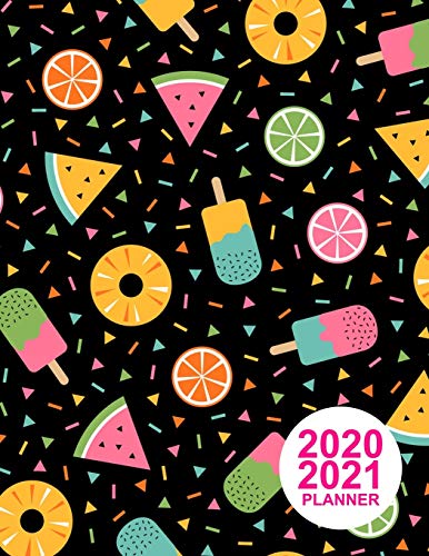 2020 2021 Planner: Large Two Year Monthly Weekly Daily Calendar Planner ...