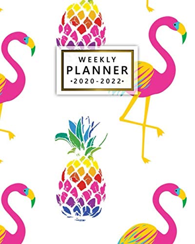 2020-2022 Weekly Planner: Funky Summer 3 Year Planner and Organizer ...