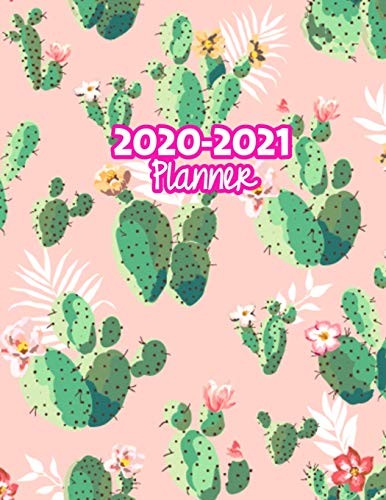 2020-2021 Planner: Two Year Calendar Organizer and Goal Journal ...