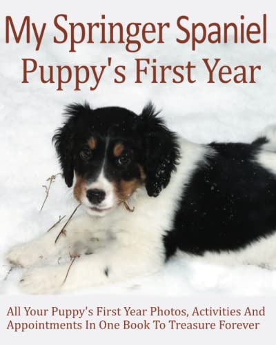 My Springer Spaniel Puppy's First Year: All your Puppy's First Year ...