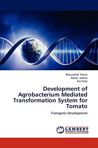 Development of Agrobacterium Mediated Transformation System for Tomato ...