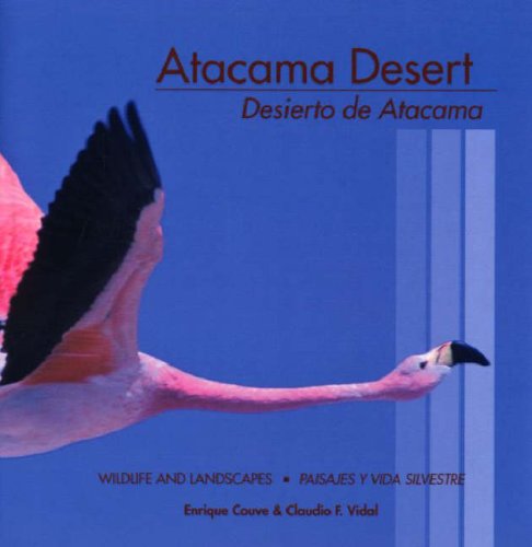 Atacama Desert: Wildlife and Landscapes / Desierto De Atacama: Paisajes ...