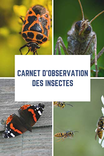 Carnet d'observation des insectes: Apprendre à observer les insectes ...