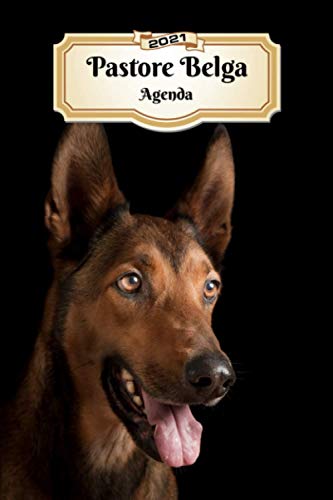 2021 Pastore Belga Agenda: 109 Pagine | Dimensioni DIN A5 | Pianificatore Settimanale | 12 Mesi ...