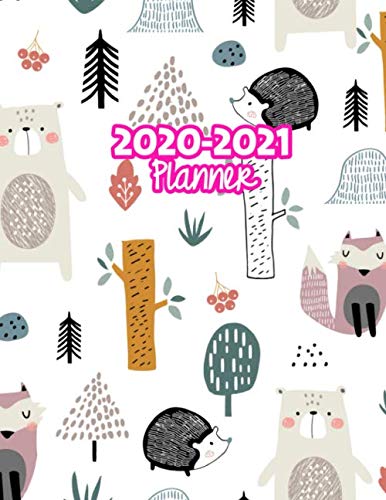 2020-2021 Planner: Two Year Calendar Organizer and Goal Journal ...