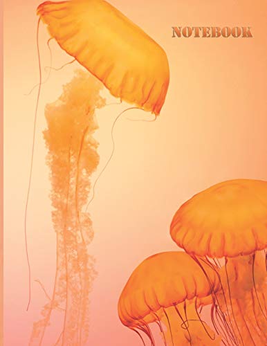 Classic Wide Lined Notebook: Lined Notebook Journal - Large by Ani ...