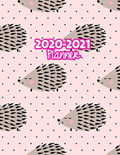 2020-2021 Planner: Two Year Calendar Organizer and Goal Journal ...