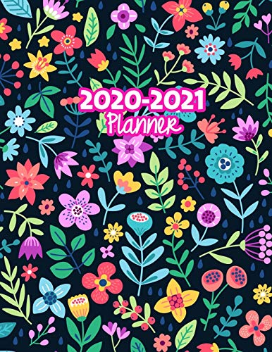 2020-2021 Planner: Two Year Calendar Organizer and Goal Journal ...