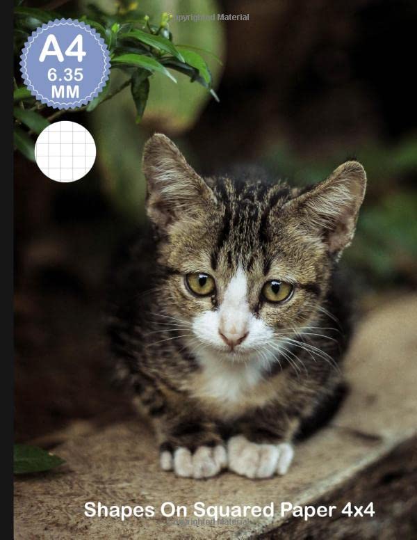 Shapes On Squared Paper: Each side measures 6.3 mm – 4x4: A4 Graphical ...