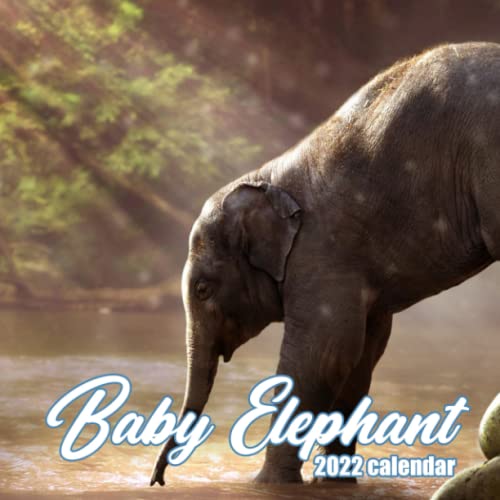 Baby Elephant Calendar 2022: Cute Elephant Babies January 2022 ...